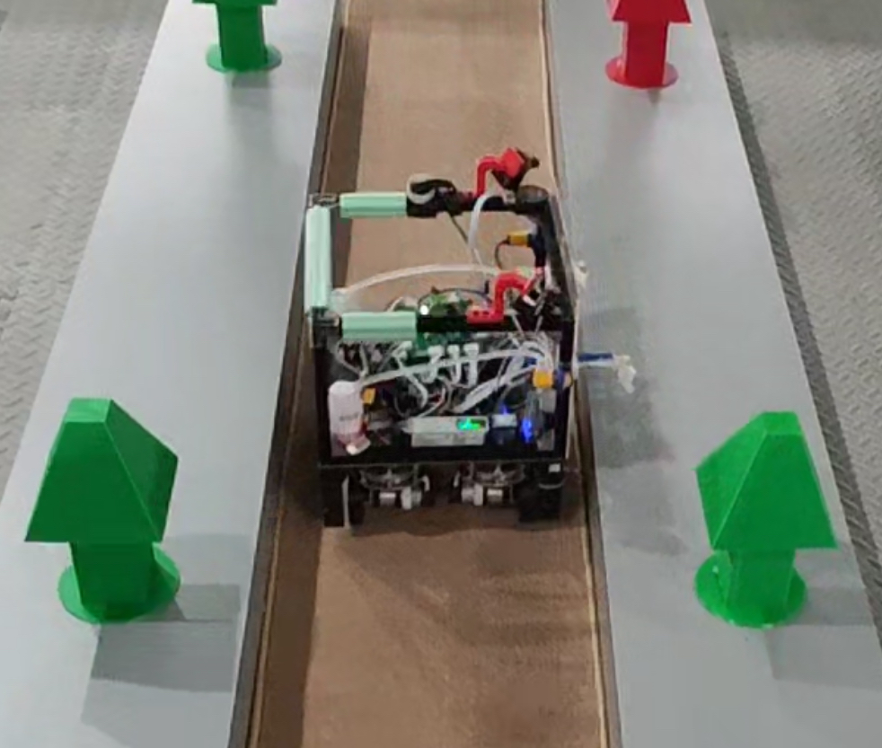 竞赛情况 - 207B 实验室